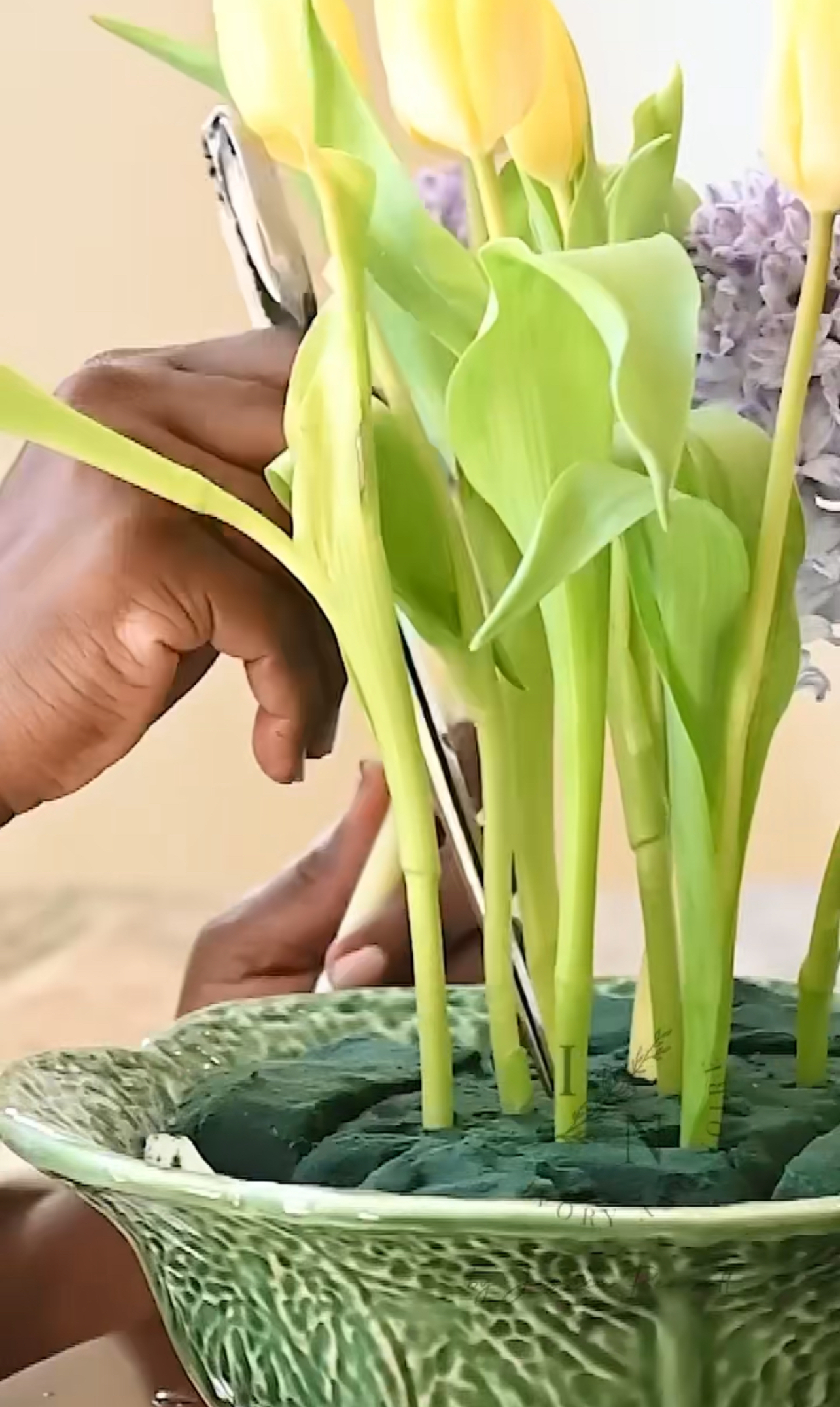 Yellow and Purple Spring Tulip Arrangement
