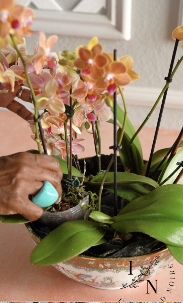 Creating an Elegant Orchid Centerpiece: A Simple Guide for Stunning ...